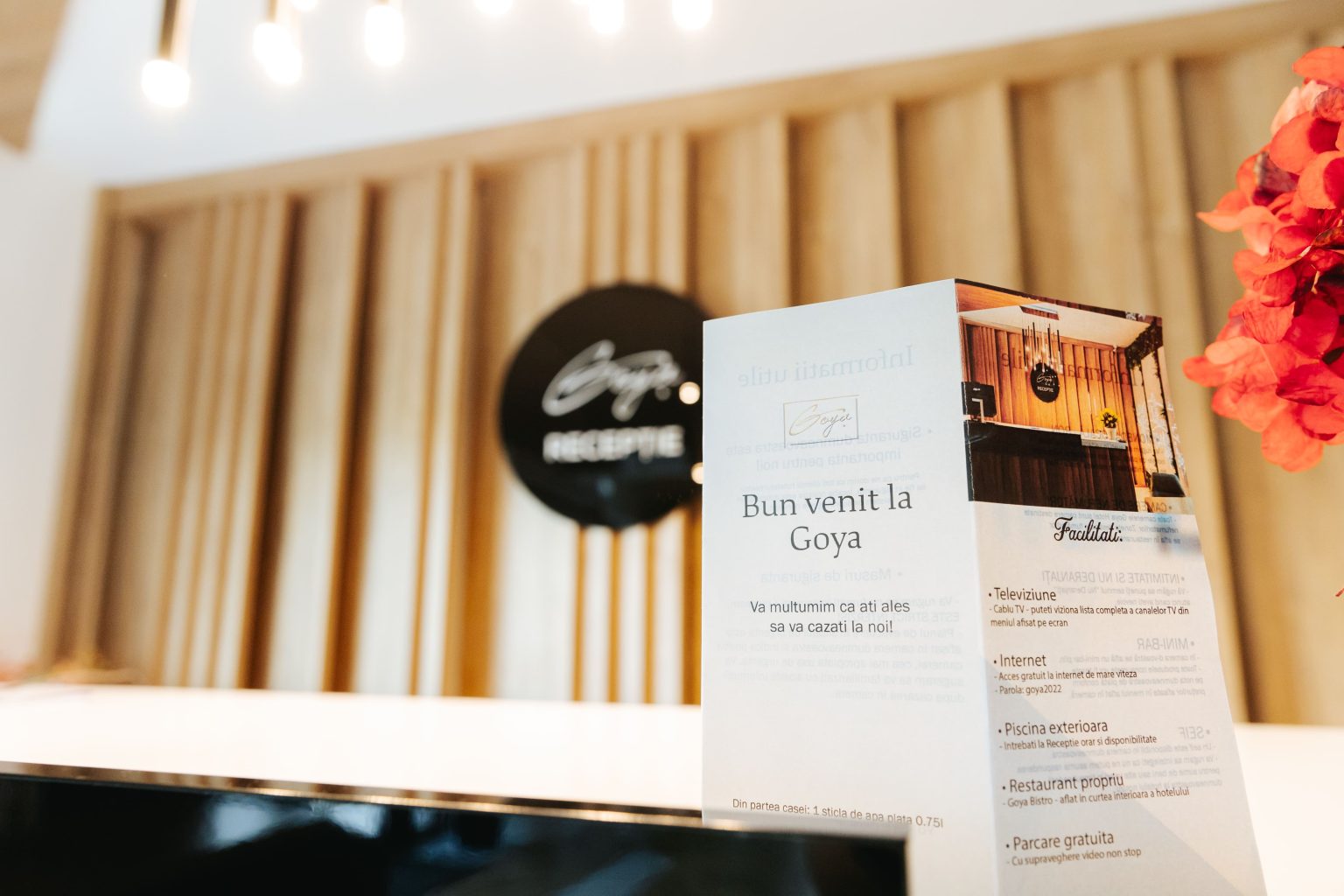 Pagina Principala » Hotel Goya - When elegance meets comfort